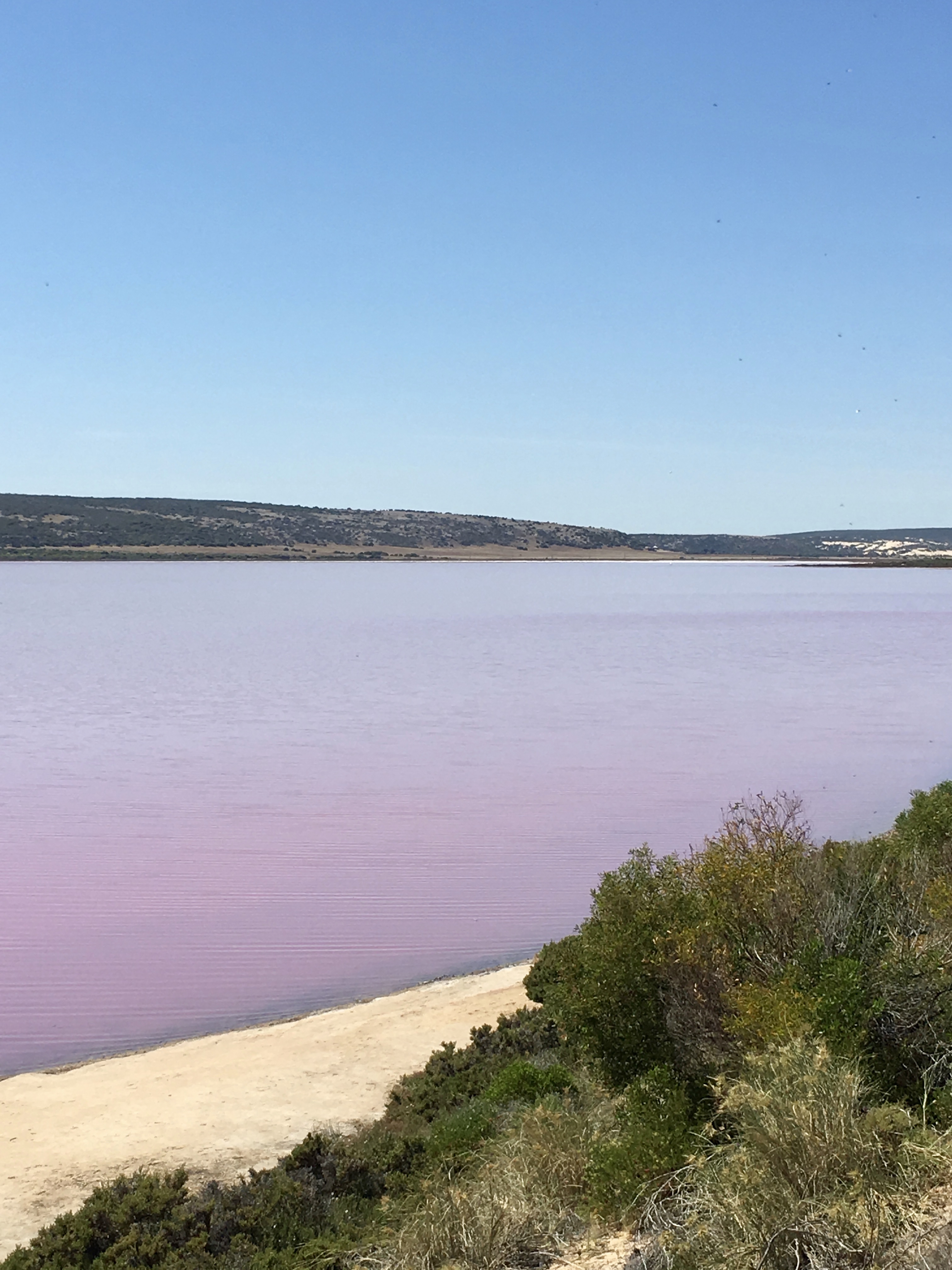 Kalbarri – Gregory – Horrocks Beach – Not Today Not Tomorrow