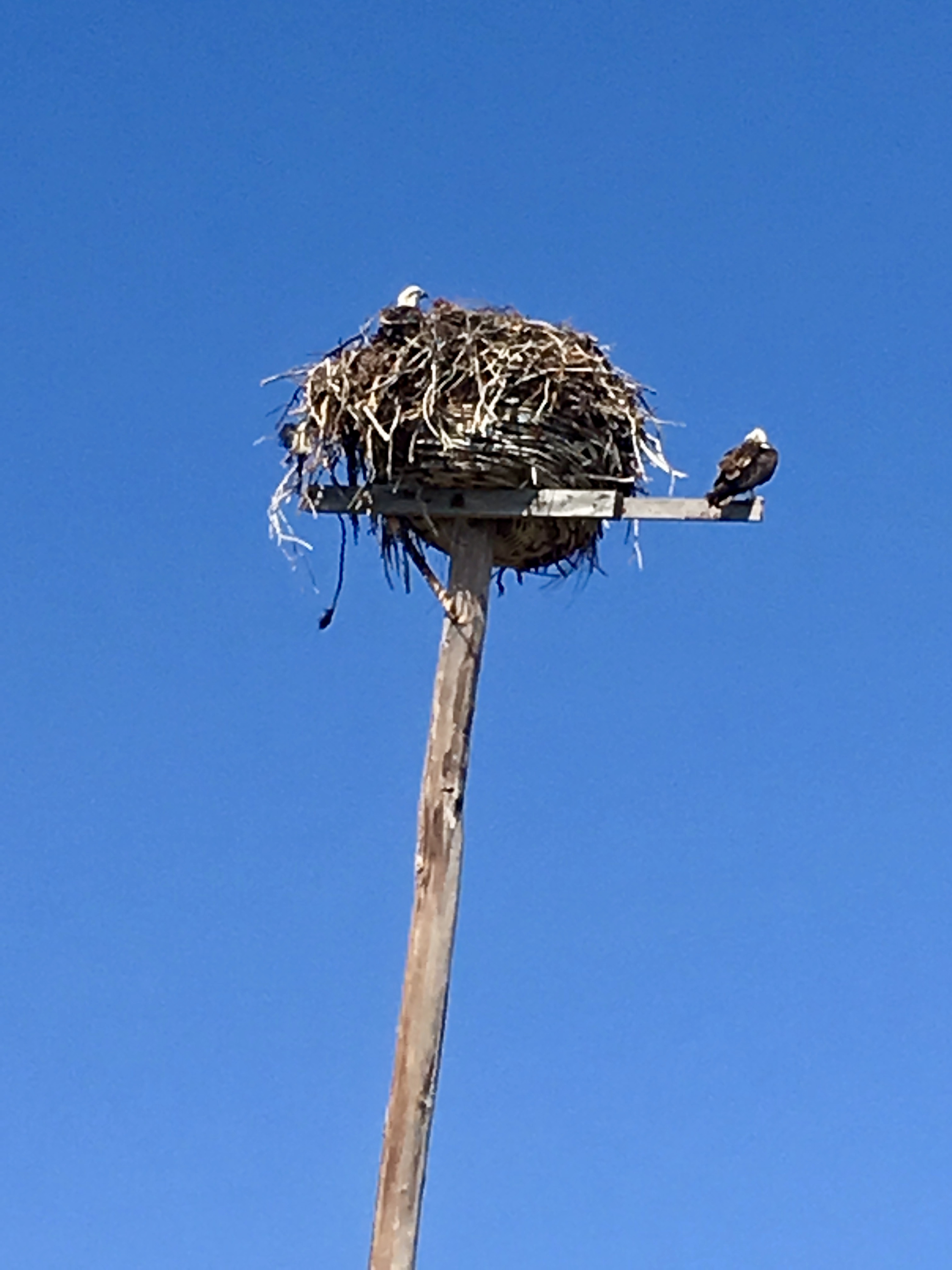 Kalbarri – Gregory – Horrocks Beach – Not Today Not Tomorrow